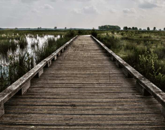 About Us | Arsandis GmbH